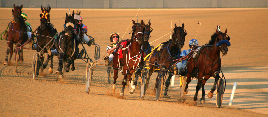 Simulcast Weekly Promotions